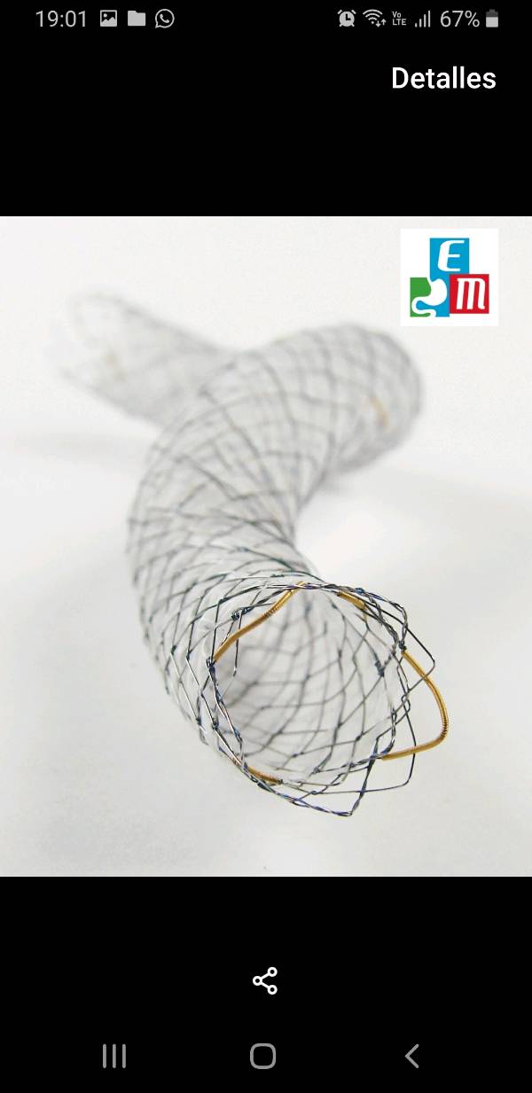 Prótesis Autoexpandible Biliar Doble No cubierta en Chalco de Díaz ...