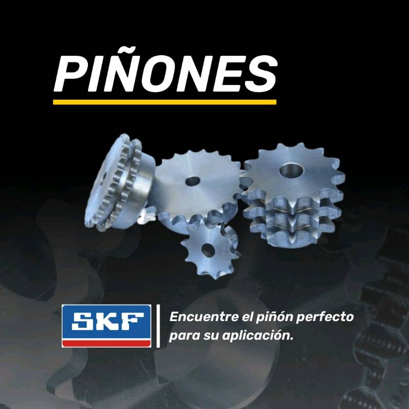 Rodamientos estoperas piñón en San Felipe