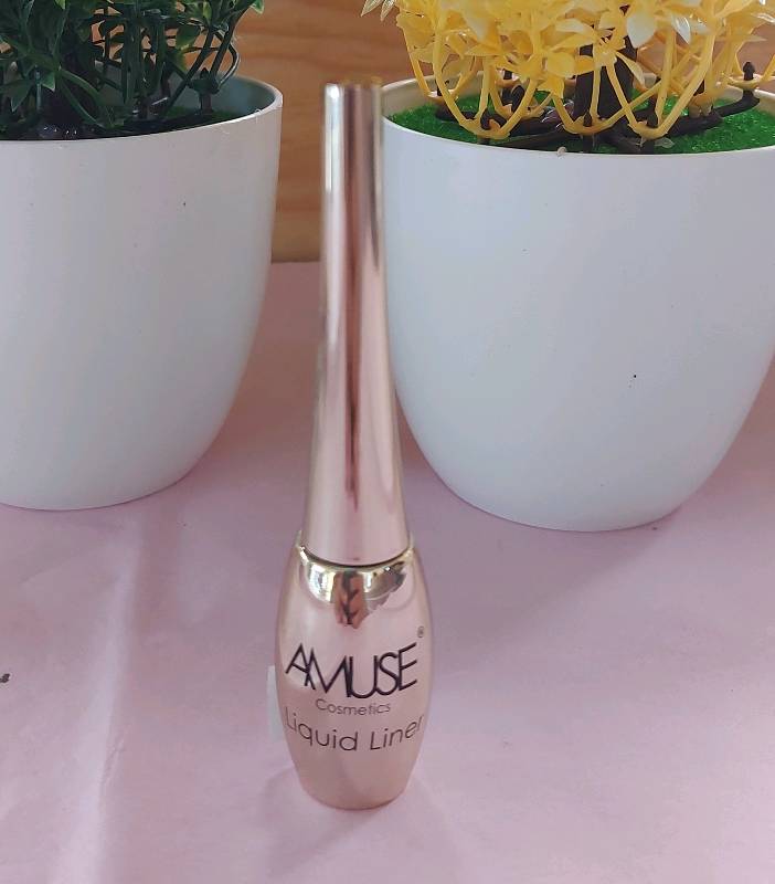 DELINEADOR AMUSE en La entrada copan