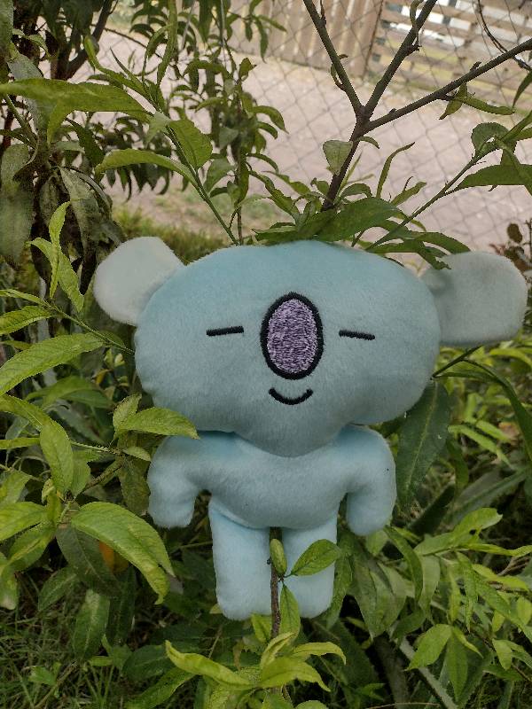Peluche Koya- BT21 en Toluca de Lerdo