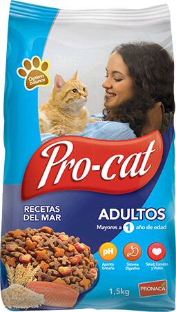 Procat gatos en Guayaquil