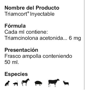 Triamcort ® Inyectable 50ml en San Cristóbal