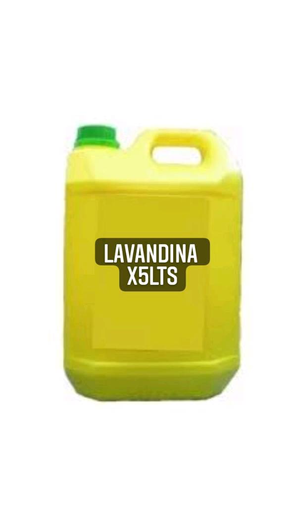 Lavandina concentradax 5lts en nueve de julio