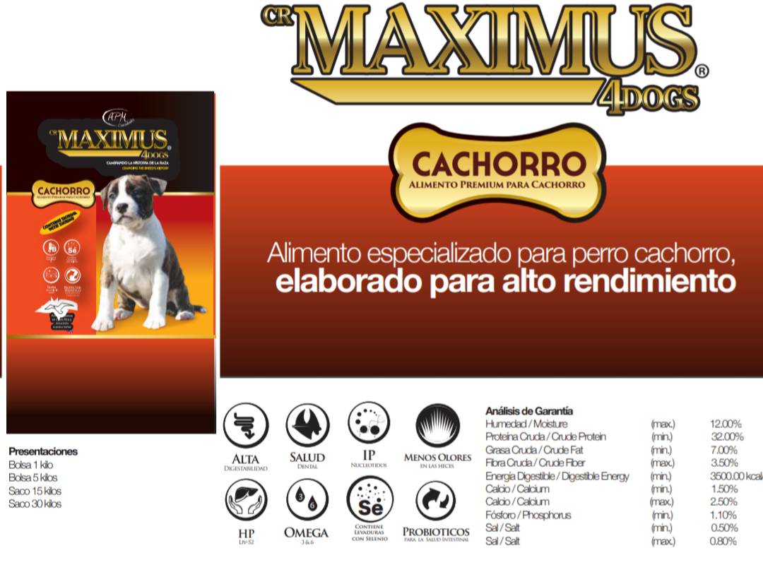 Maximus Cachorro en San Jose