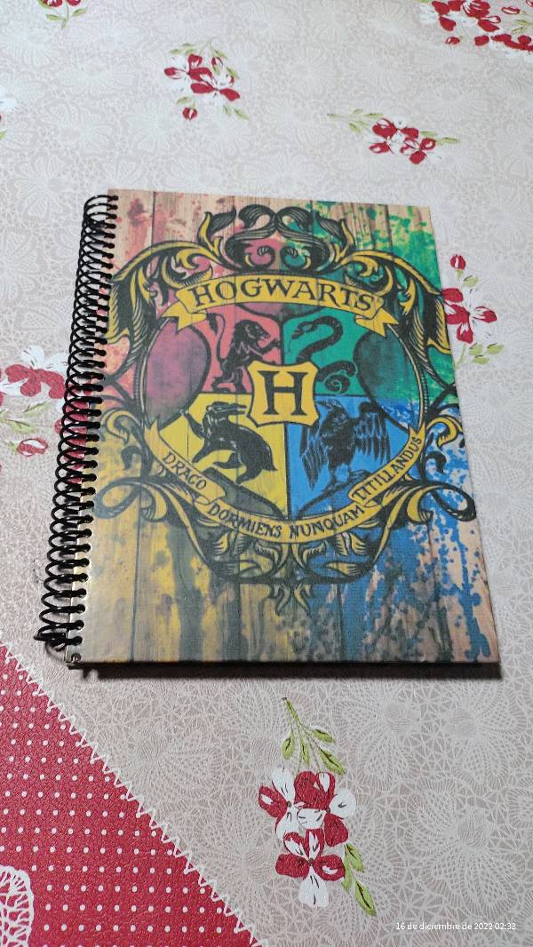 Cuaderno HARRY POTTER en Santiago de Chile