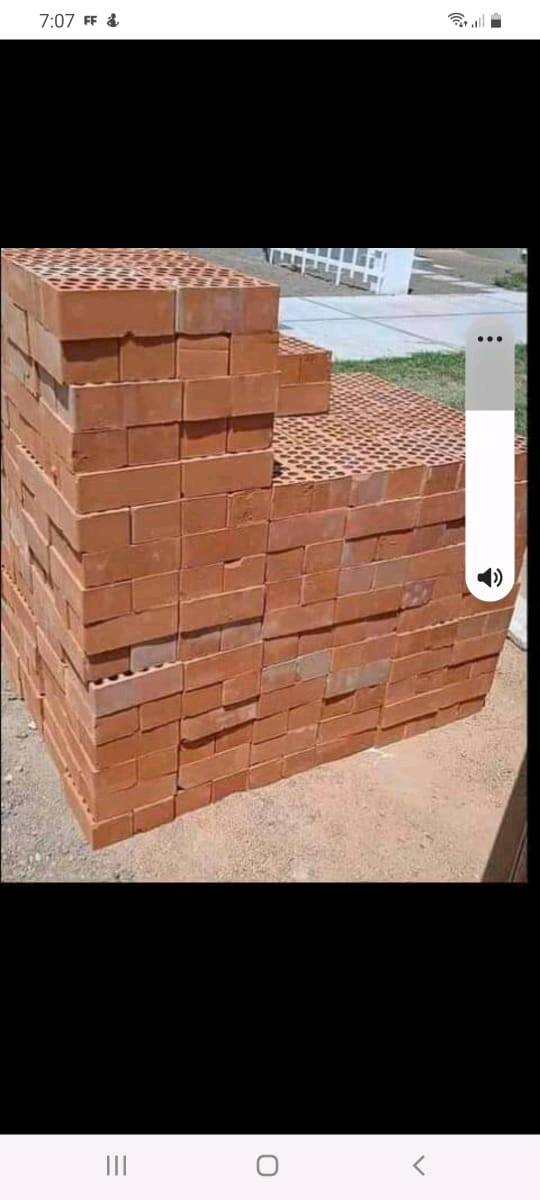 Ladrillo Pandereta ,Estandar y techos en Trujillo