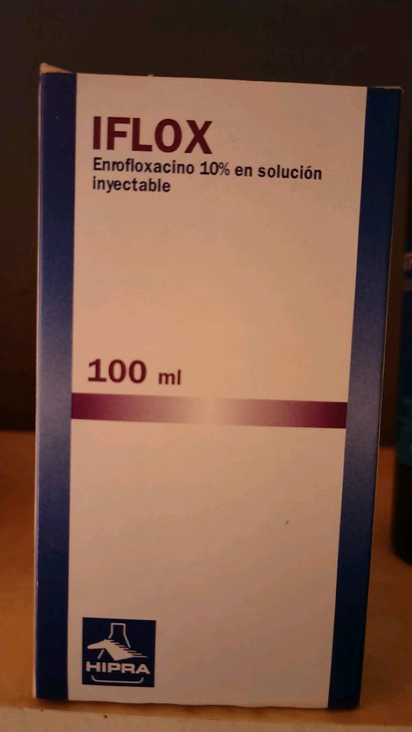 Iflox, Enrofloxacina 10 % en San Juan