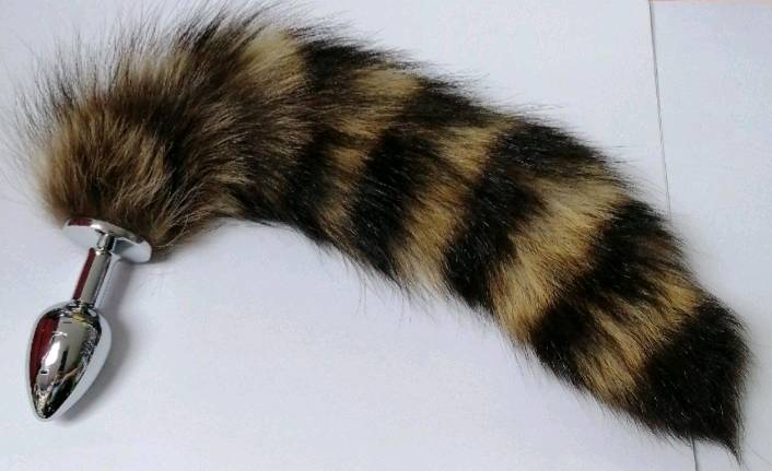 Pug cola de zorro en San Salvador