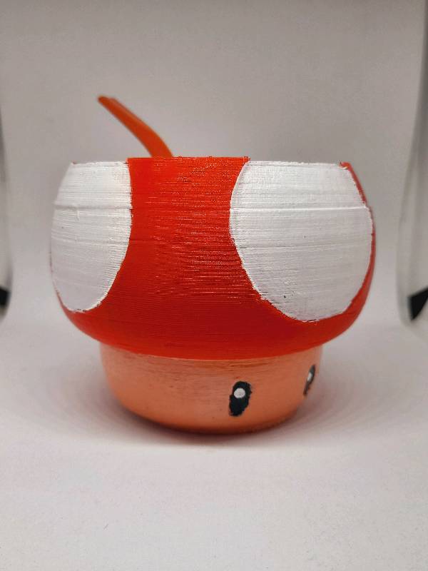 Mate hongo de Mario Bros en Buenos Aires