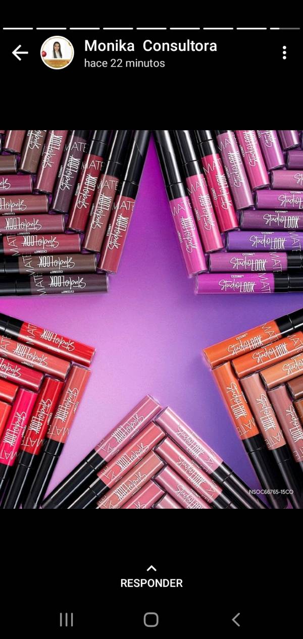 Labiales studio look en Santa Cruz de la Sierra