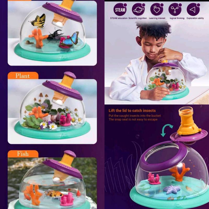 Peceras o criaderos de insectos en Guayaquil