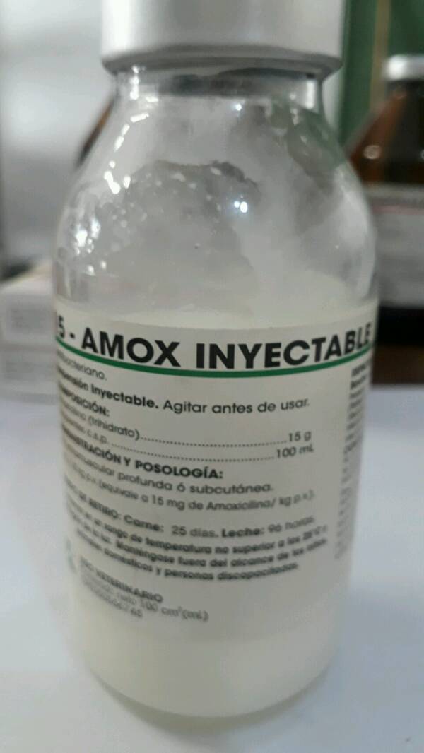 Amox inyectable en Acarigua