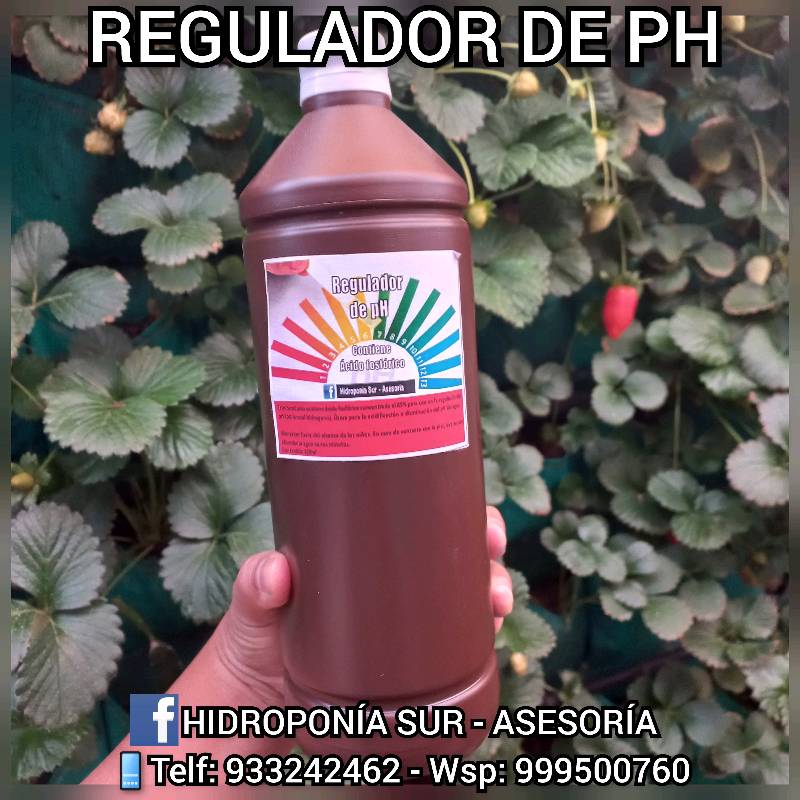 REGULADOR DE PH en Arequipa
