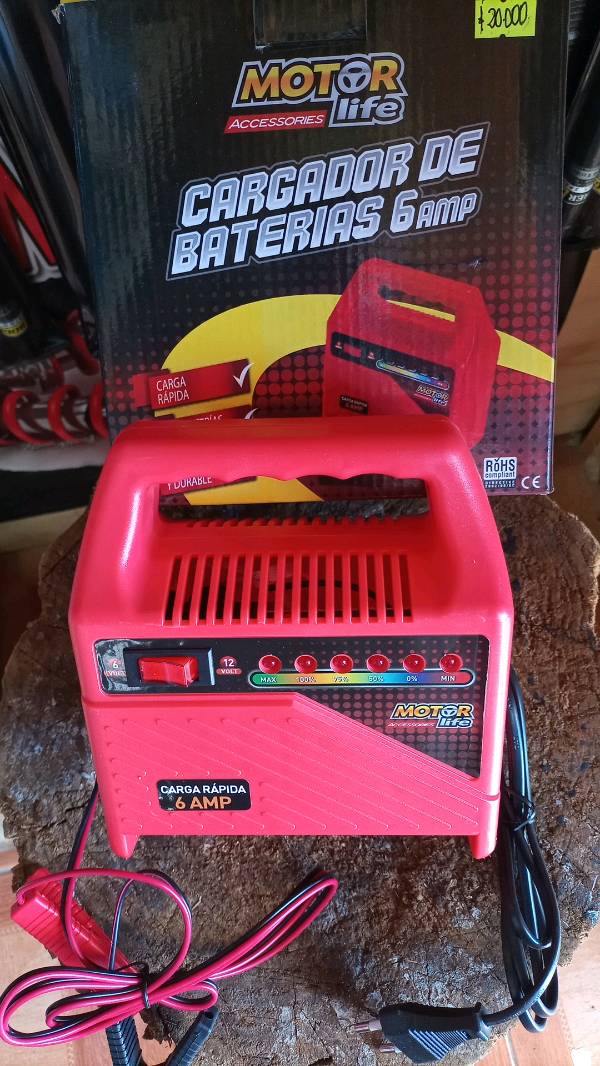 Cargador de baterías en Chillan