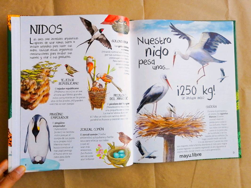 Así Vivimos los Animales en Lima