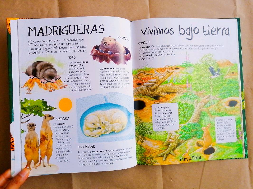Así Vivimos los Animales en Lima Así Vivimos los Animales en Lima