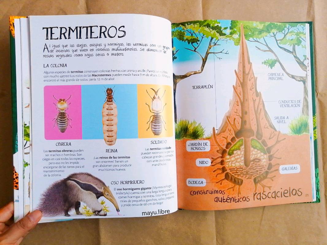 Así Vivimos los Animales en Lima Así Vivimos los Animales en Lima