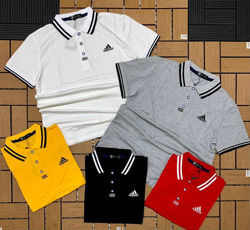 Polocher de cuello en Santo Domingo