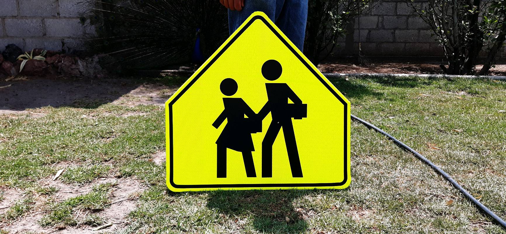 Señal Preventiva SP-33 Cruce de Escolares. en Puebla de Zaragoza