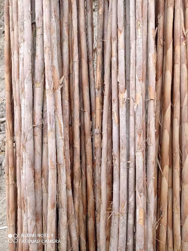 Caña brava de 1/2" por paquete. en Lima