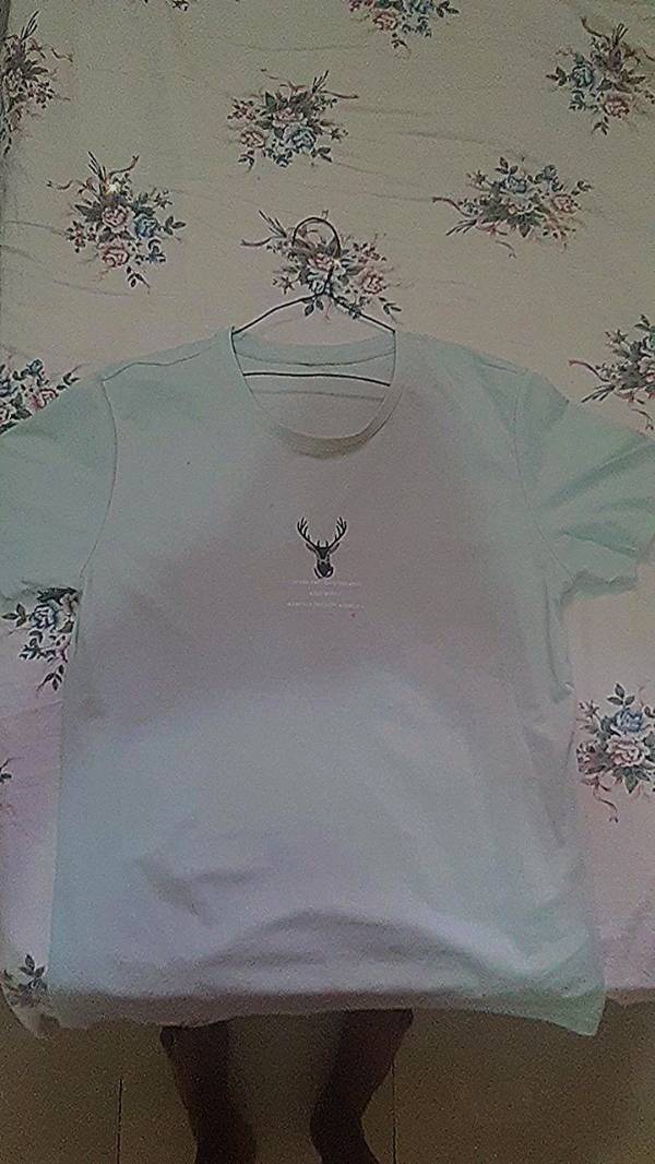 Poloche tipo (Aesthetic) en Santo Domingo