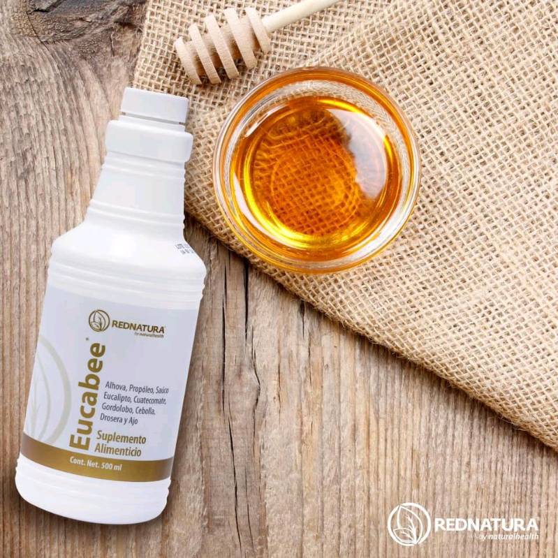 Eucabee en Socoltenango