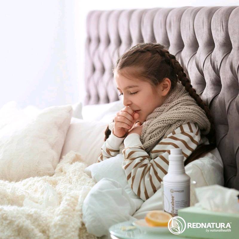 Eucabee en Socoltenango