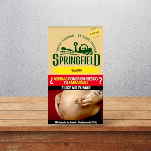 Sprinfield en Santiago de Chile