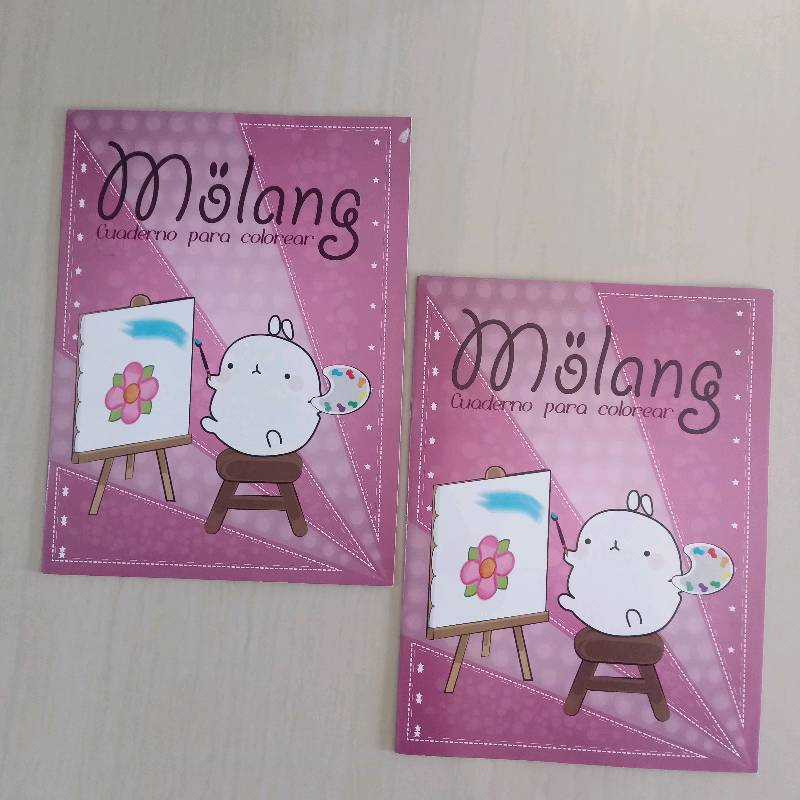 Libro para colorear en Chiapas