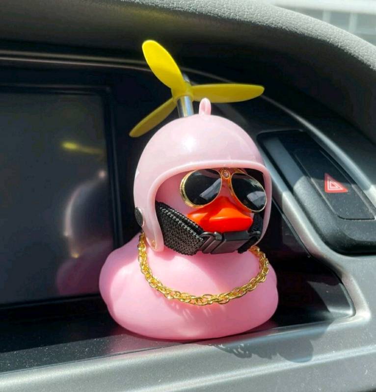 Patito rosa en Cochabamba