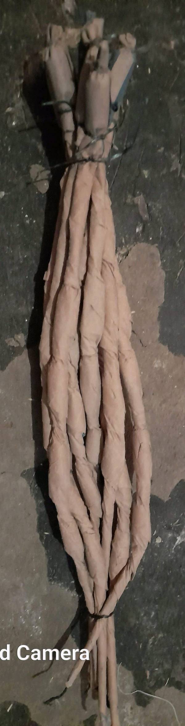 CULEBRA X 10 en Soacha