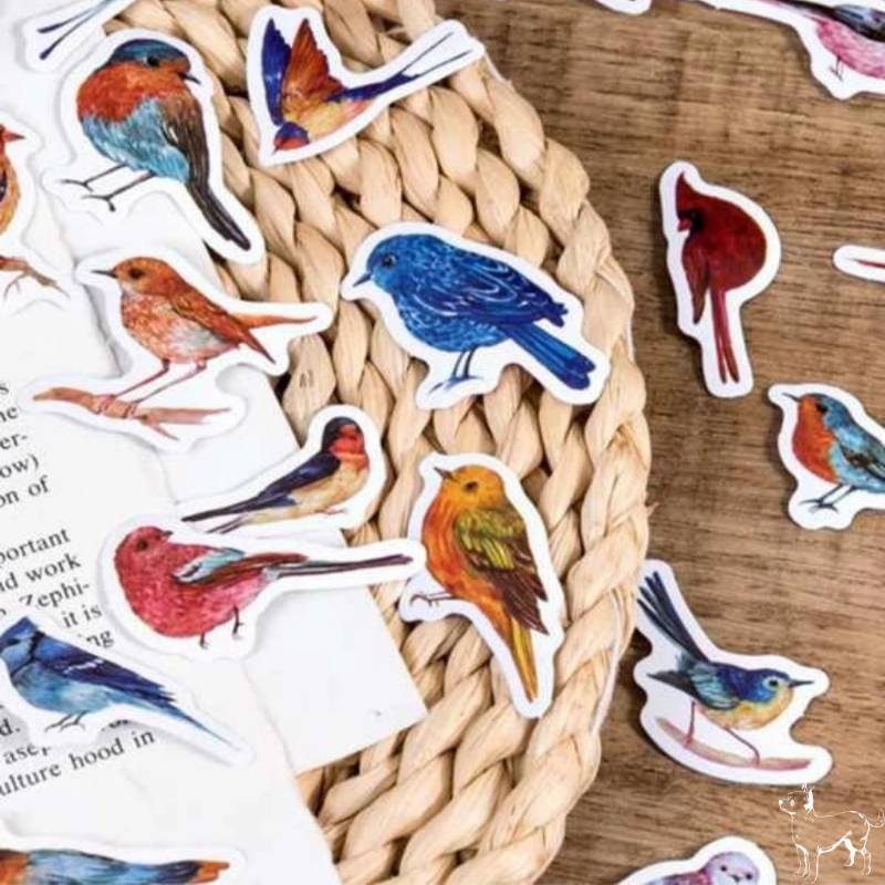 Stickers 'Aves' en Ciudad de Mexico