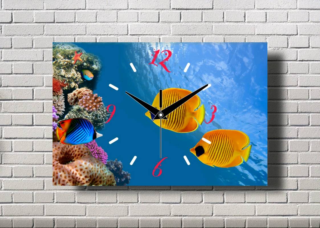 Reloj Peces en Vicente López