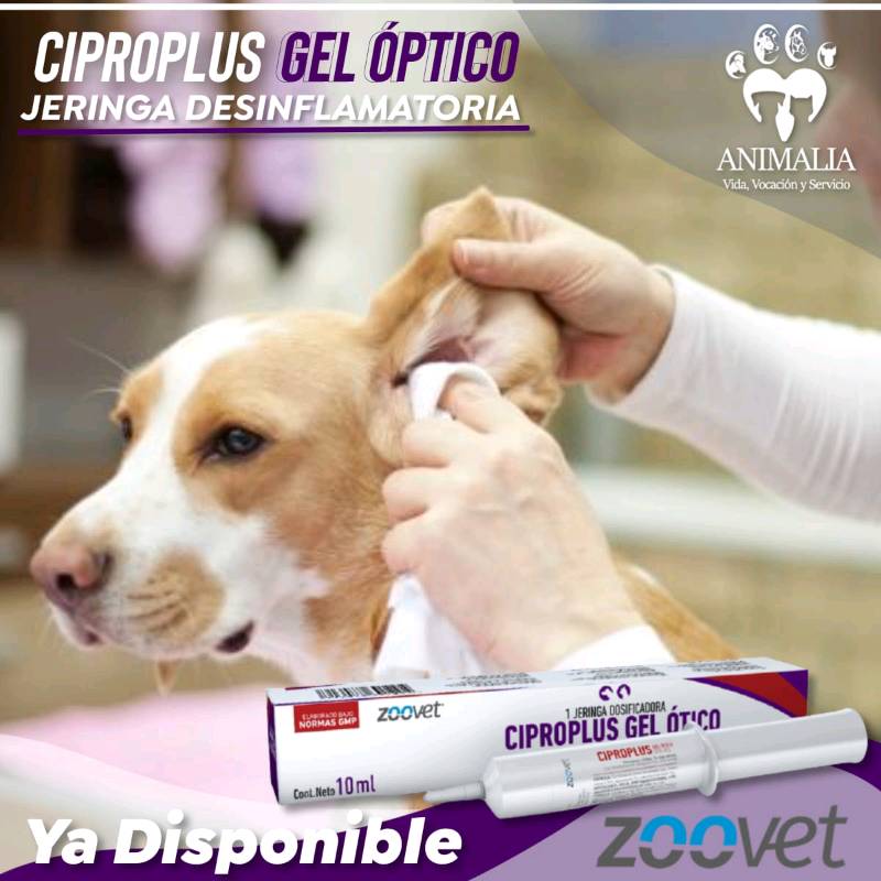 Ciproplus gel ótico en Managua