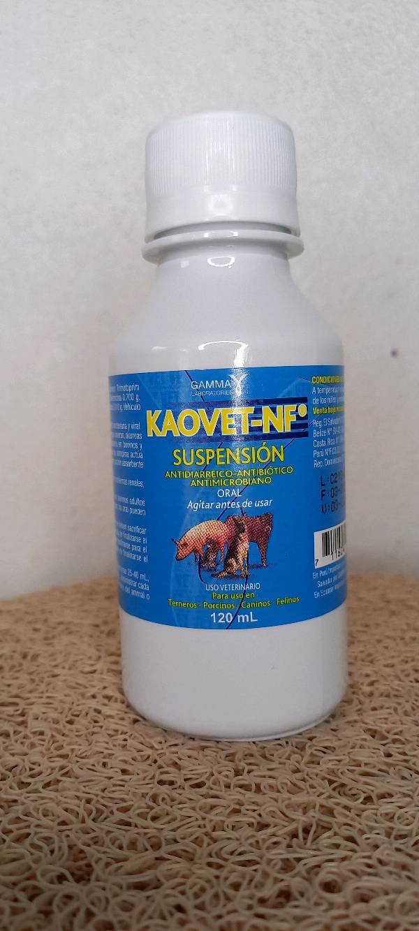 Kaovet-NF en Managua