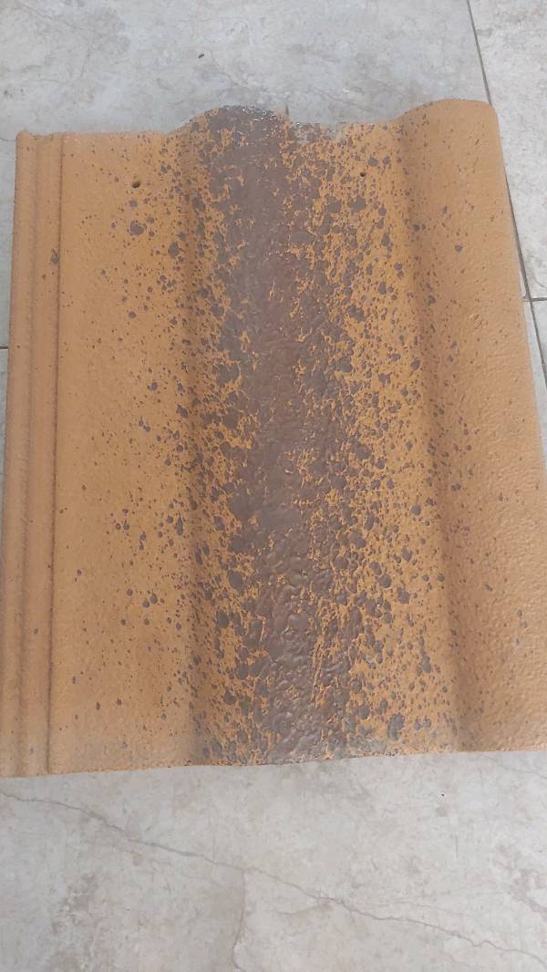 Teja de Concreto en Puerto La Cruz