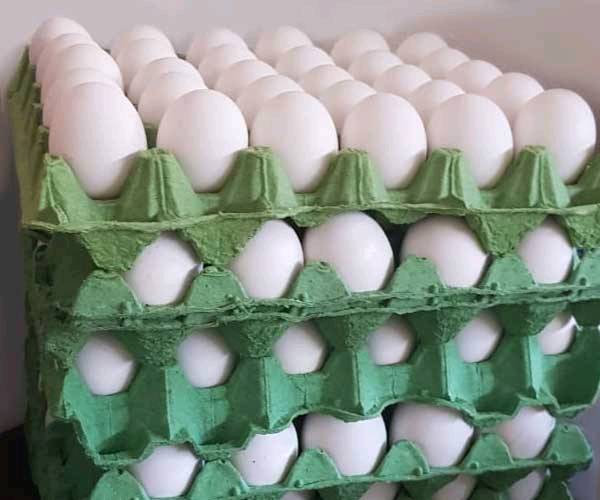 Cartón de Huevos Medianos en Alta Verapaz