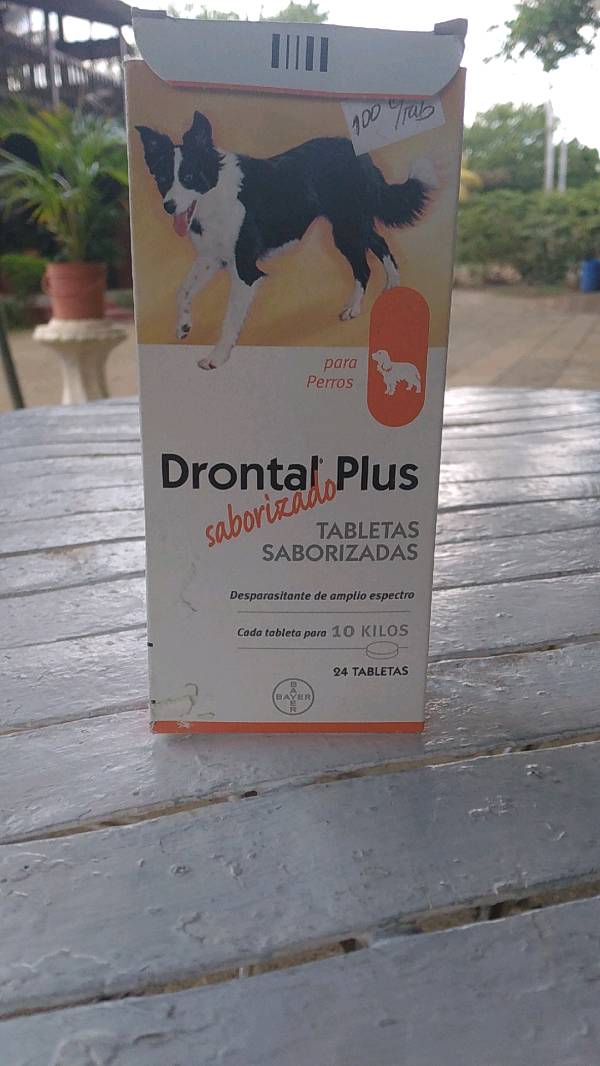 Drontal plus en Managua
