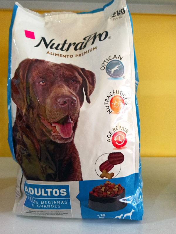 ADULTOS RAZAS MEDIANAS Y GRANDES en Quito